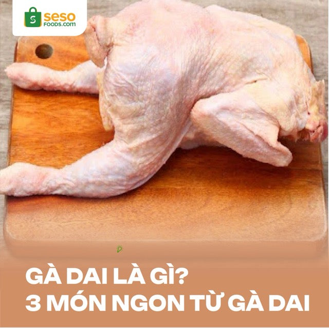Gà dai là gì? Gợi ý 3 món ngon từ gà dai – Sesofoods